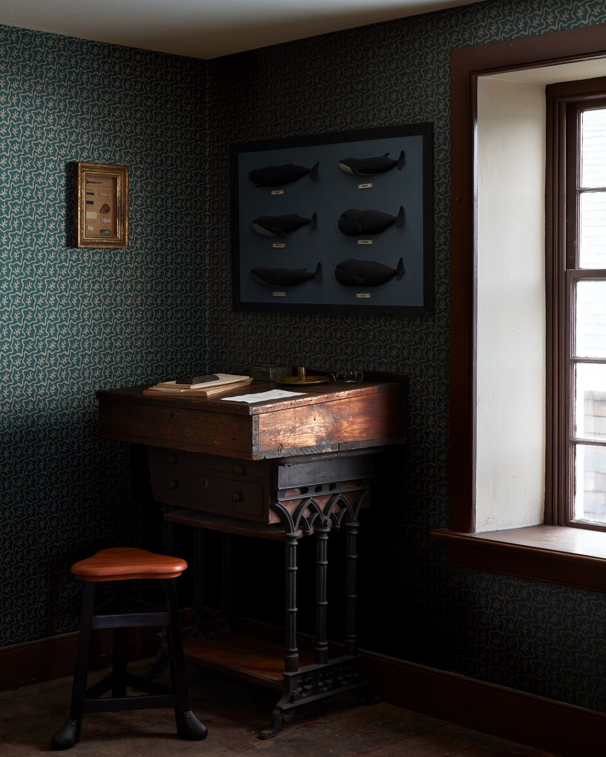 Zak + Fox • Lumisol